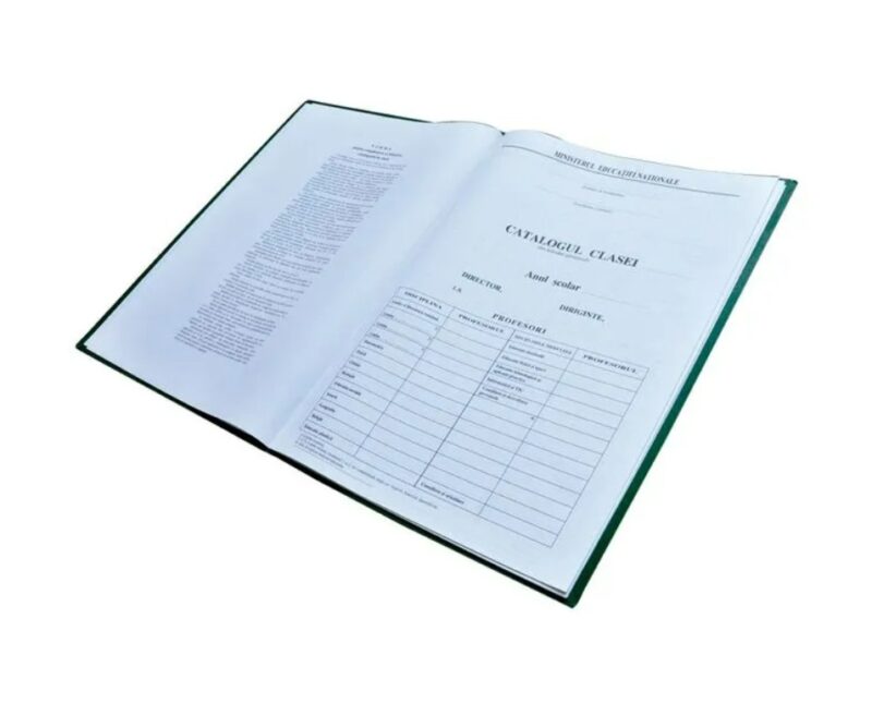 Amenajare sală de clasă modernă: idei, model și decorațiuni - Dacris